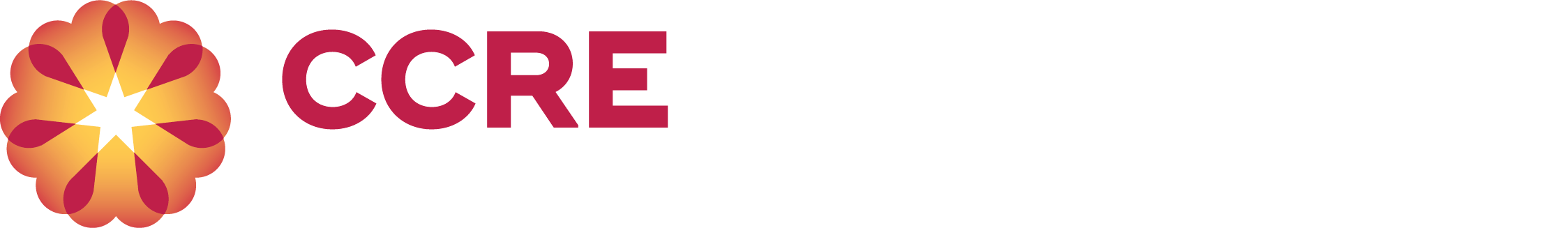 CCRE_Logo_Landscape_White – Centre of Clinical Research and Education